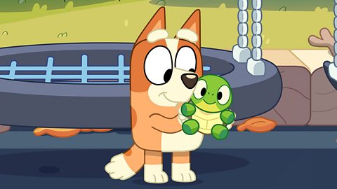Bluey - CBeebies - BBC