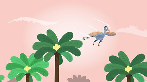 Dinosaurs | KS1 Topic | Ages 5-7 - BBC Bitesize