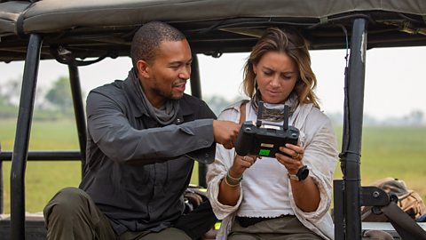 BBC Two - Big Cats 24/7 - From safari guide to cinematographer