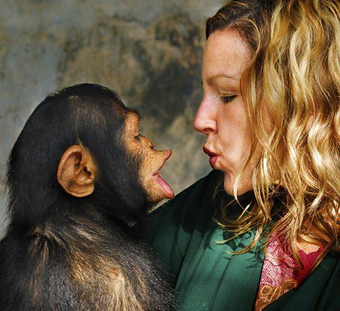 BBC Radio 4 - Word of Mouth, How Animals Talk - How do animals talk?