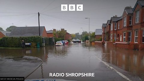 Shropshire | Latest News & Updates | BBC News