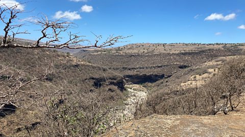 BBC One - Asia - A tale of two worlds in the Dhofar Mountains
