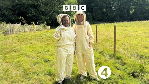 Bees - BBC News