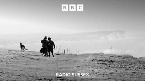 Sussex | Latest News & Updates | BBC News