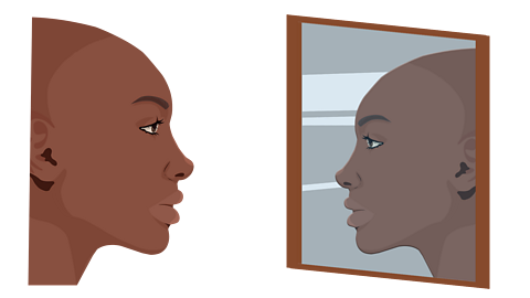 What is reflection? – KS2 Science curriculum - BBC Bitesize