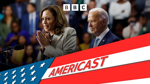 Democratic Party - BBC News