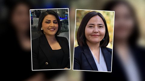 Journalism - BBC News