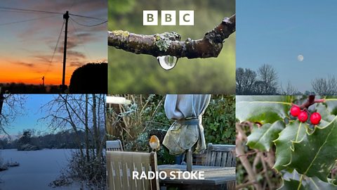 Stoke & Staffordshire | Latest News & Updates | BBC News