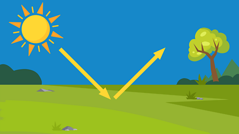 What is reflection? – KS2 Science curriculum - BBC Bitesize