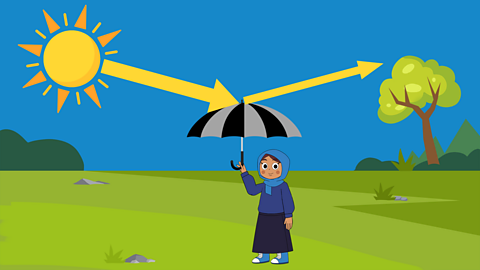 What is reflection? – KS2 Science curriculum - BBC Bitesize