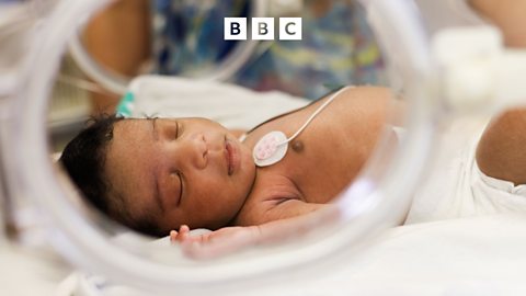 Healthcare in the US - BBC News