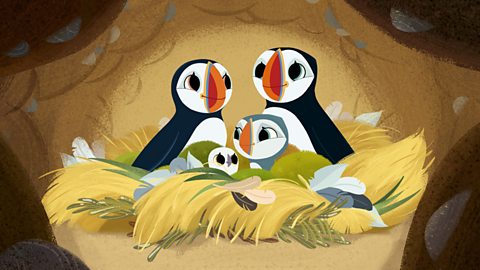 BBC World Environment Week 2025 with CBeebies - CBeebies - BBC