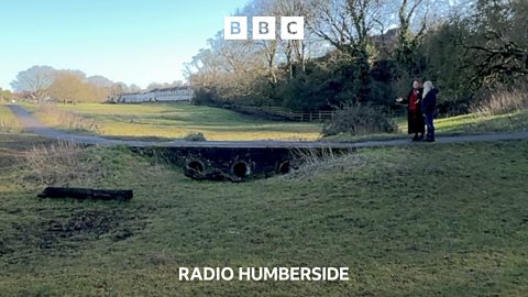 Hull & East Yorkshire | Latest News & Updates | BBC News