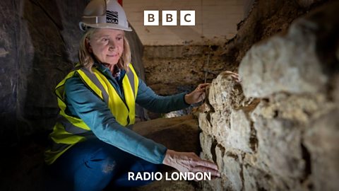 Science & Environment | Latest News & Updates | BBC News