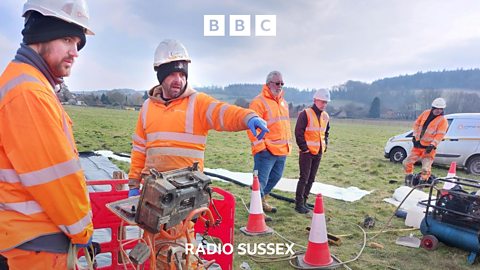 Sussex | Latest News & Updates | BBC News