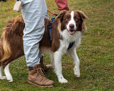 BBC One - The One Show