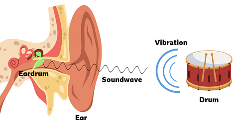 How are sounds made? – KS2 Science curriculum - BBC Bitesize