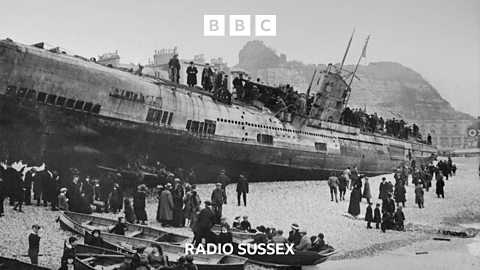 Sussex | Latest News & Updates | BBC News