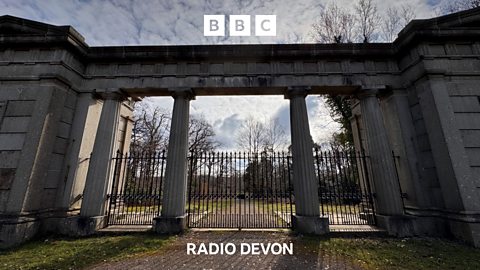 Devon | Latest News & Updates | BBC News