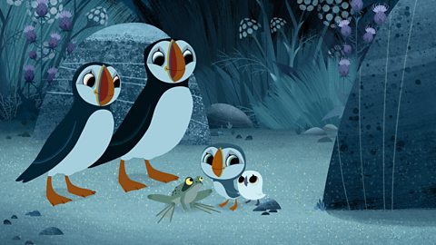 Puffin Rock - CBeebies - BBC