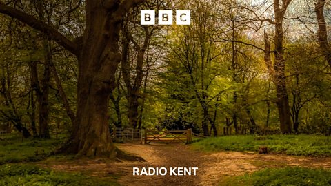 Kent | Latest News & Updates | BBC News