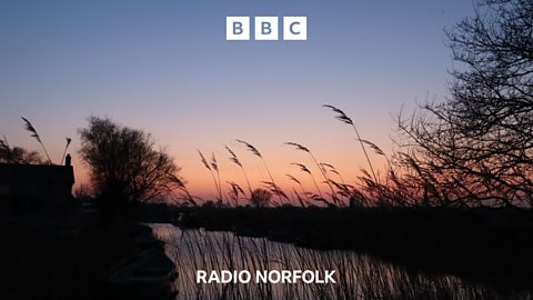 Norfolk | Latest News & Updates | BBC News