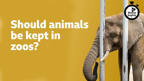 BBC Learning English - Learn English with BBC Learning English - Homepage