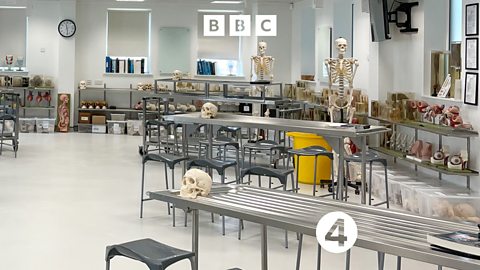 Medicine - BBC News