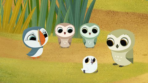 Puffin Rock - CBeebies - BBC