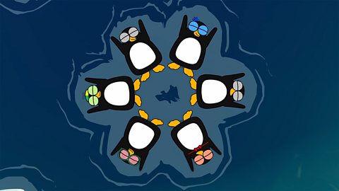 Piripenguins on CBeebies