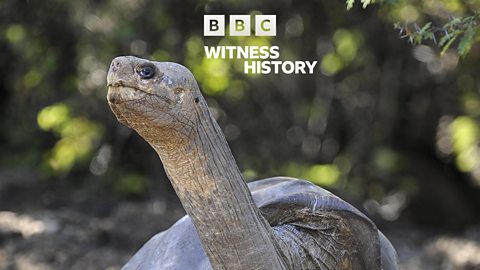 Extinction - BBC News