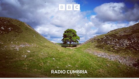 Cumbria | Latest News & Updates | BBC News