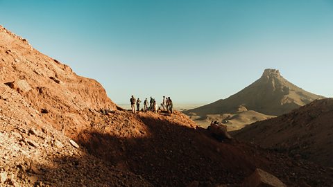 BBC One - Walking With Dinosaurs - The Evolution of Walking With Dinosaurs
