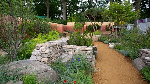 BBC Two - RHS Chelsea Flower Show - The BBC RHS People's Choice Award ...
