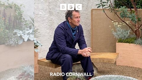 Cornwall | Latest News & Updates | BBC News