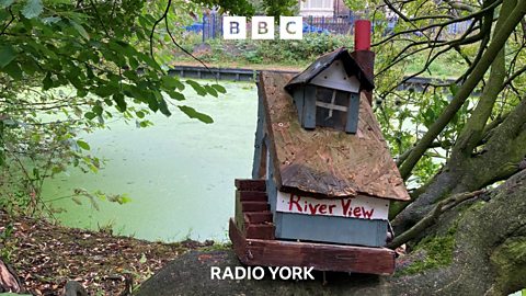 North Yorkshire | Latest News & Updates | BBC News
