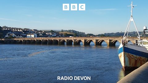 Devon | Latest News & Updates | BBC News
