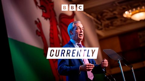 Reform UK - BBC News