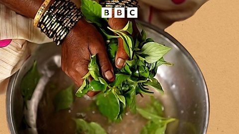Caste - BBC News