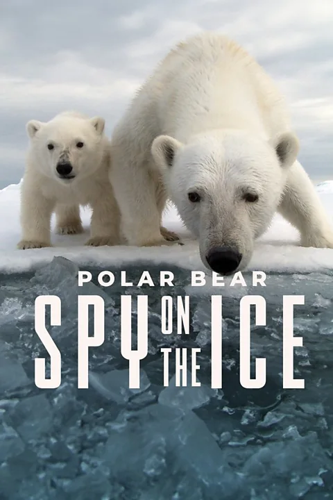 BBC Home - Breaking News, World News, US News, Sports, Business ...