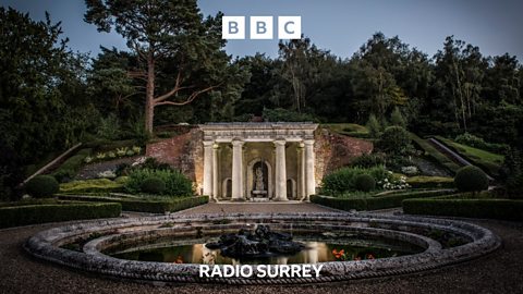 Surrey | Latest News & Updates | BBC News