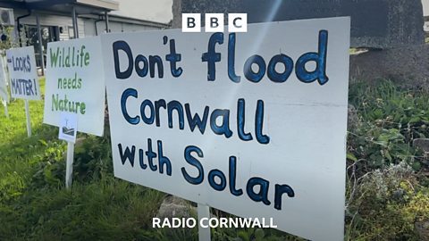 Cornwall | Latest News & Updates | BBC News