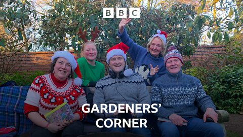 BBC - Northern Ireland - Home