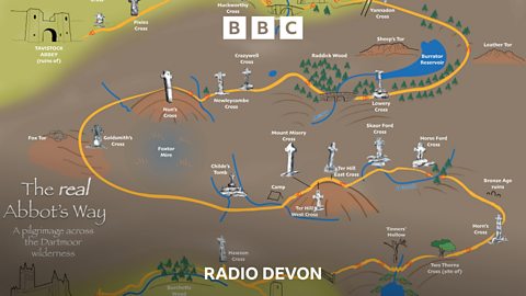Devon | Latest News & Updates | BBC News