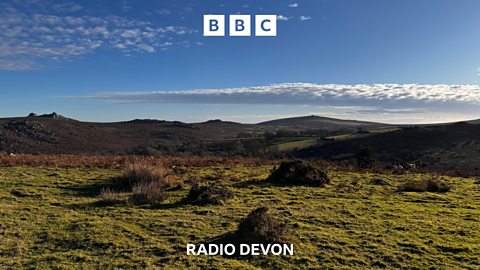 Devon | Latest News & Updates | BBC News