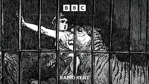 Kent | Latest News & Updates | BBC News
