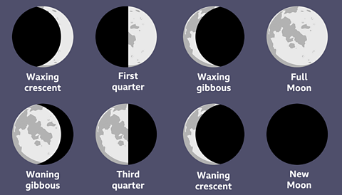 Horrible Science: Dr Big Brain, the Moon and Louise - BBC Bitesize
