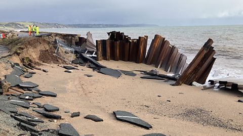 Devon | Latest News & Updates | BBC News