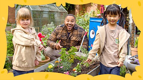 I Can Grow It - CBeebies - BBC