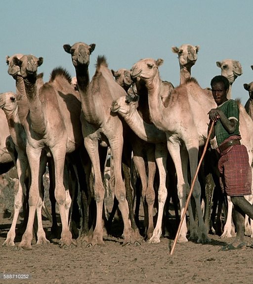 Jubbaland : Waxa Baydhabo ka socda Kismaayo lagama samayn karo - BBC ...